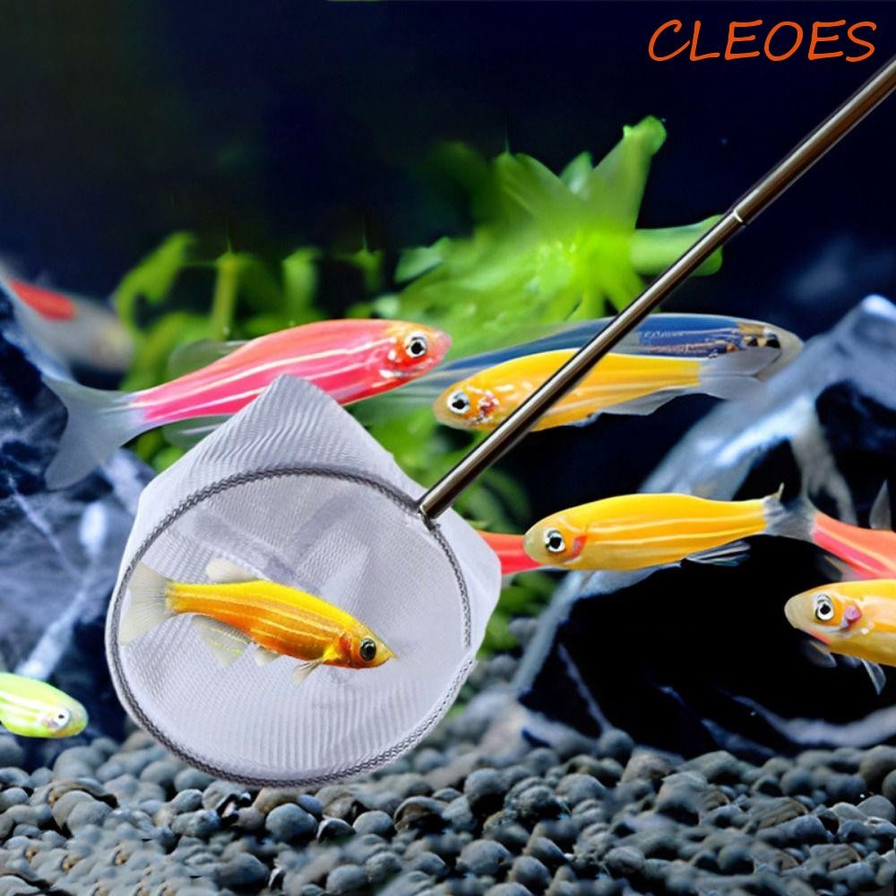 CLEOES Goldfish Net, Mesh Stainless Steel Fish Tank Fish Nets, Catch ...