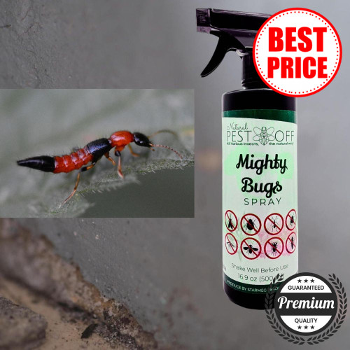 Fast-Acting PestOff Mighty Bugs Spray Kills Charlie Ants Naturally ...