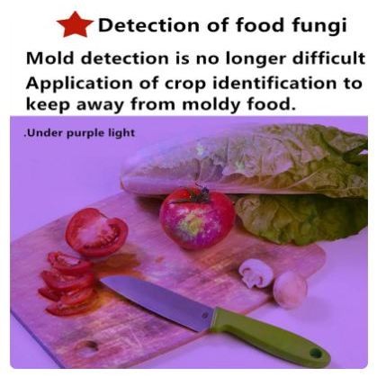 A7 Aflatoxin special ultraviolet detection pen UV 365 [ Premium Grade ...