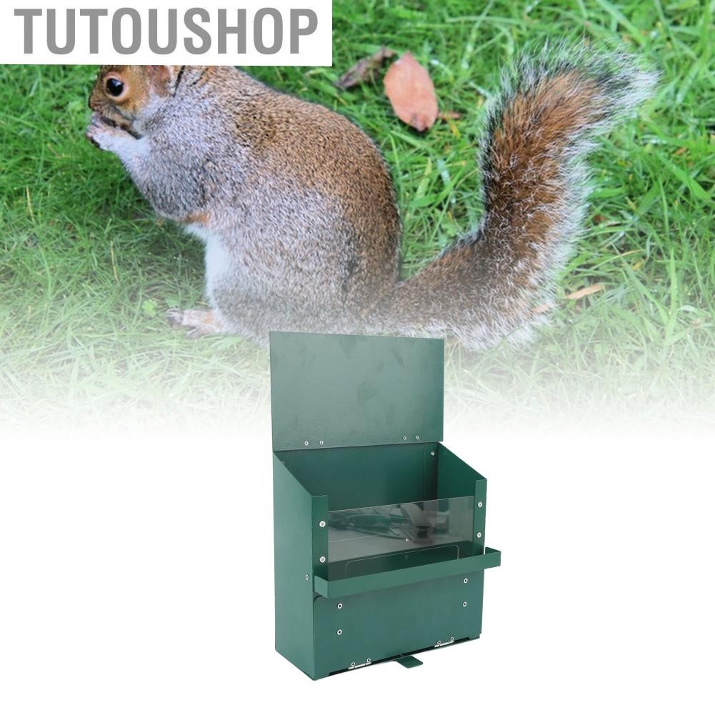 Tutoushop Metal Squirrel Feeder for Outdoors Lunch Box with Transparent ...