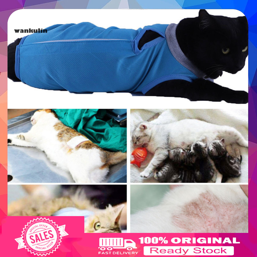 Comfortable Cat Neutering Suit Cat Surgery Recovery Clothing Adjustable Cat Recovery Suit for ...