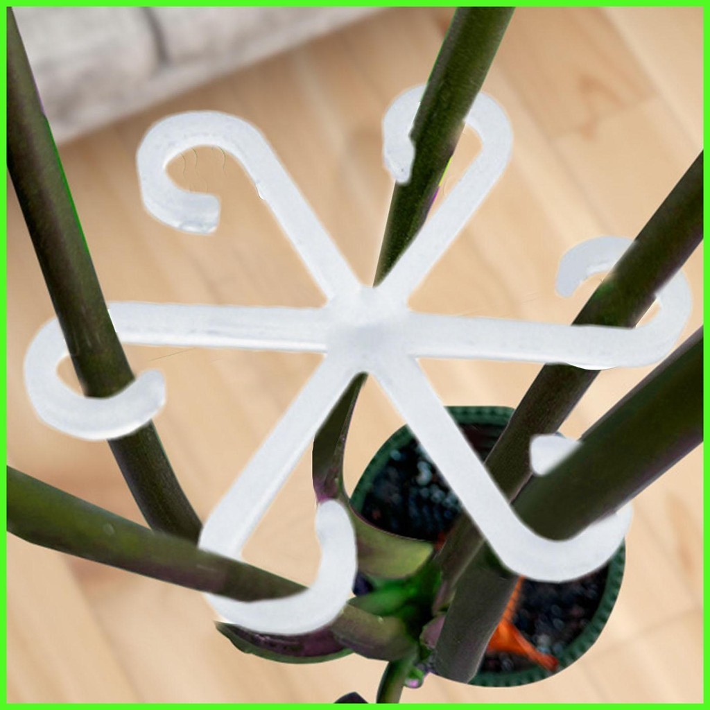 Stem Support 4PCS Climbing Plant Stem Holder Hooks Vine Support Clips ...