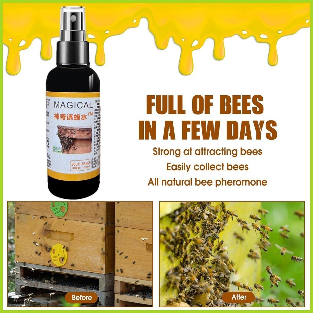 Honey Bee Attractant Lure Hornet Catching 100ml Bee Attractant Wood Bee ...