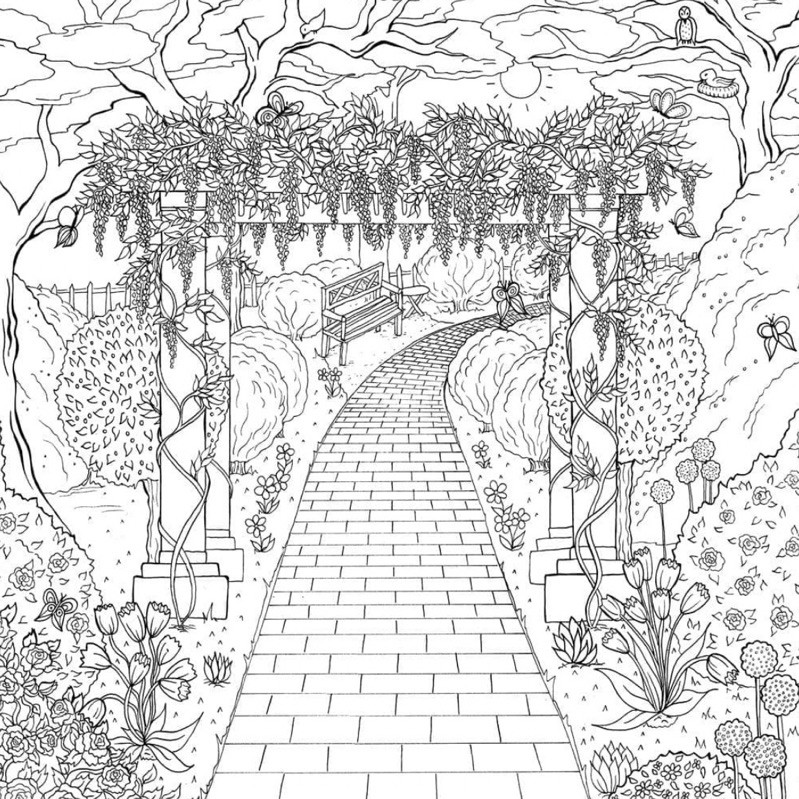 Beautiful landscape (180gsm thick paper) - Set of 20 A4 A5 Coloring ...