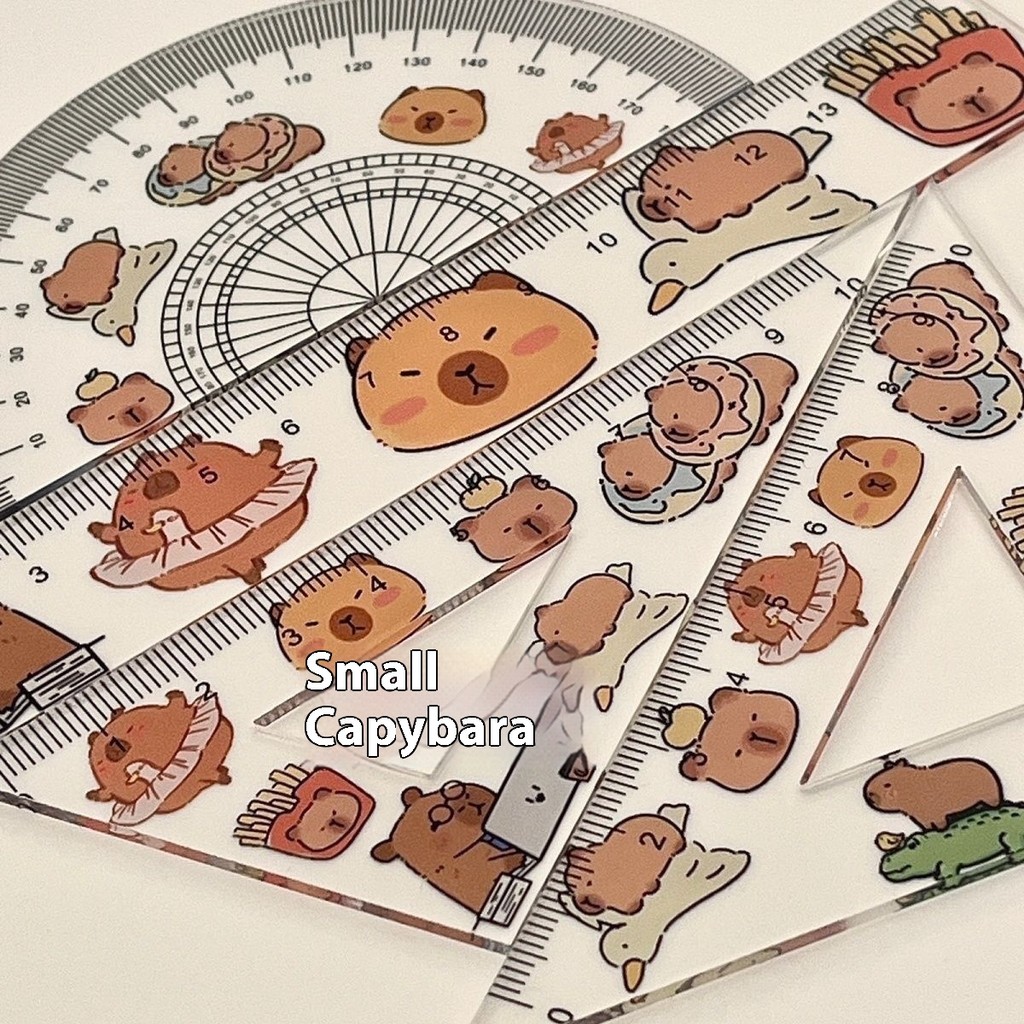 【High-Aesthetic & Cute Transparent】Capybara Learning Ruler Set ...