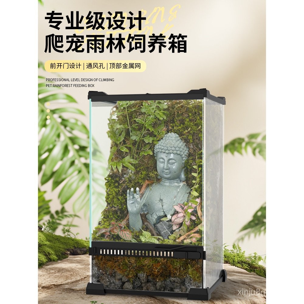 Climbing Pet Rainforest Tank Glass Breeding Box Horned Frog Lizard Box ...