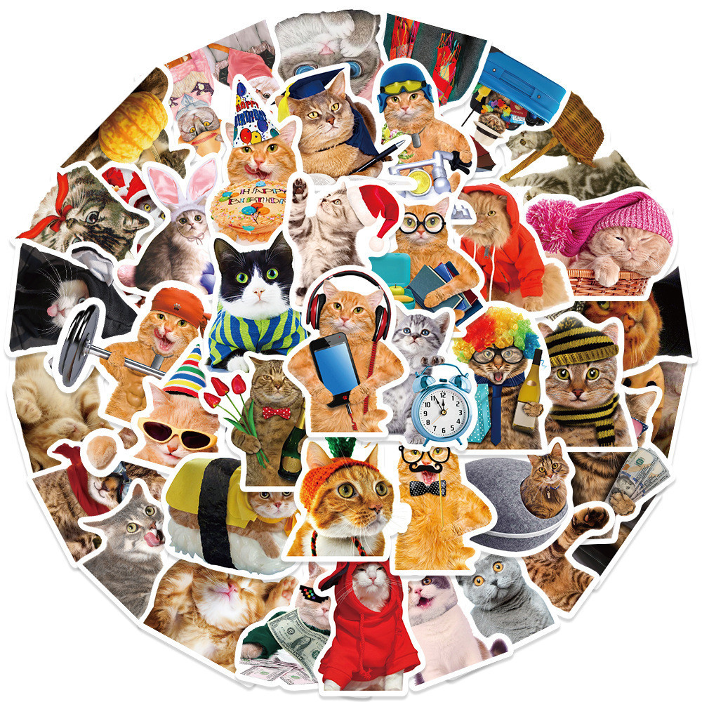 50pcs Dazzling Realistic Cat Account Stickers, Cute Funny Cat ...