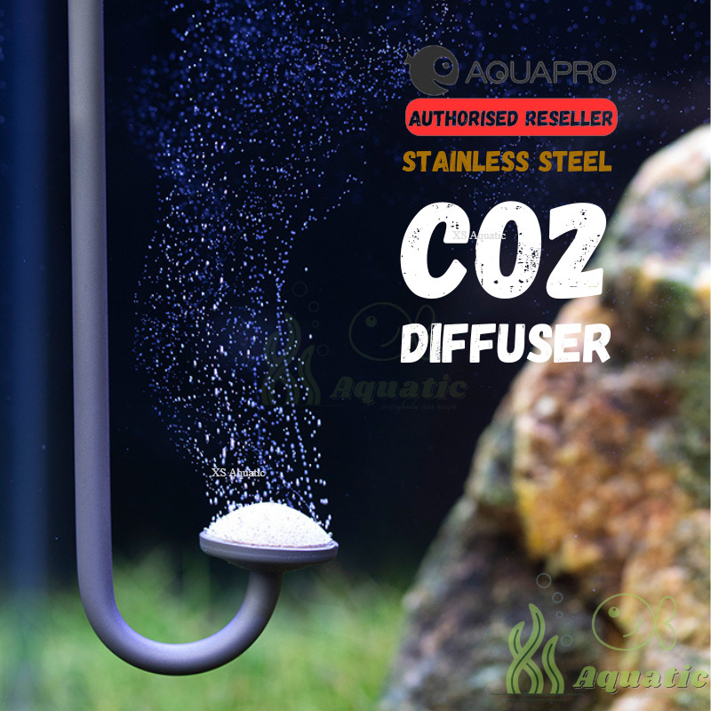 AQUAPRO Bread Co2 Diffuser Stainless Steel Carbon Dioxide Diffuser Refiner Atomizer 羡鱼小面包二氧化碳细化器 ...