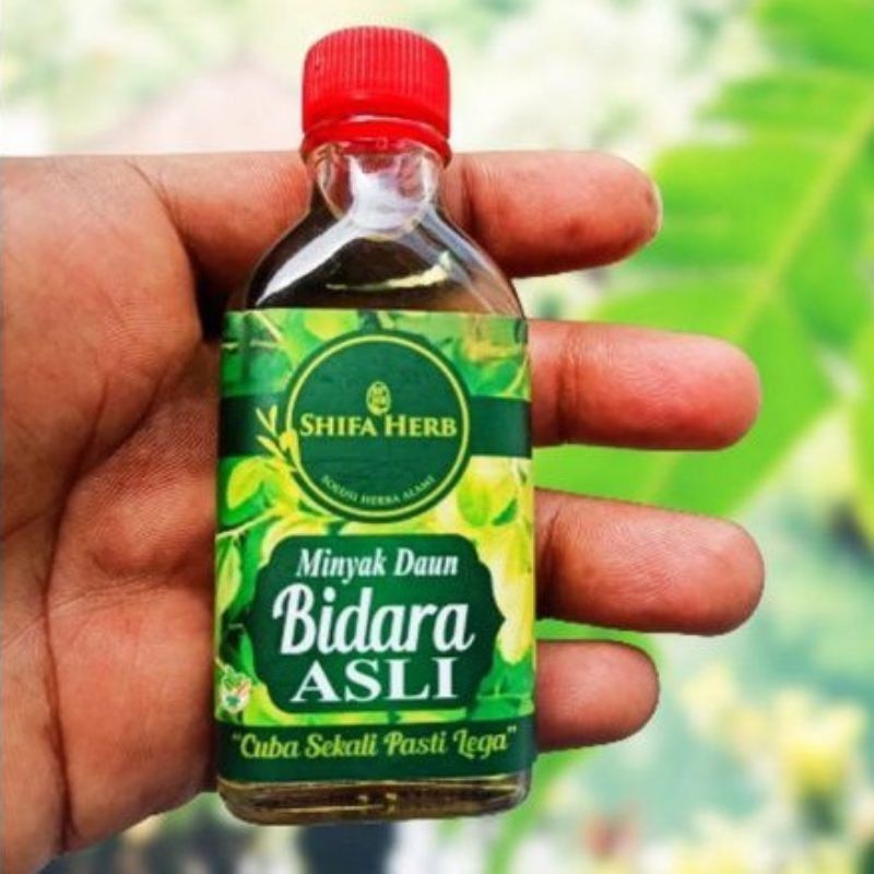 Minyak Daun Bidara Asli 30ml Shifa Herb 100% Original "Ready Stock ...