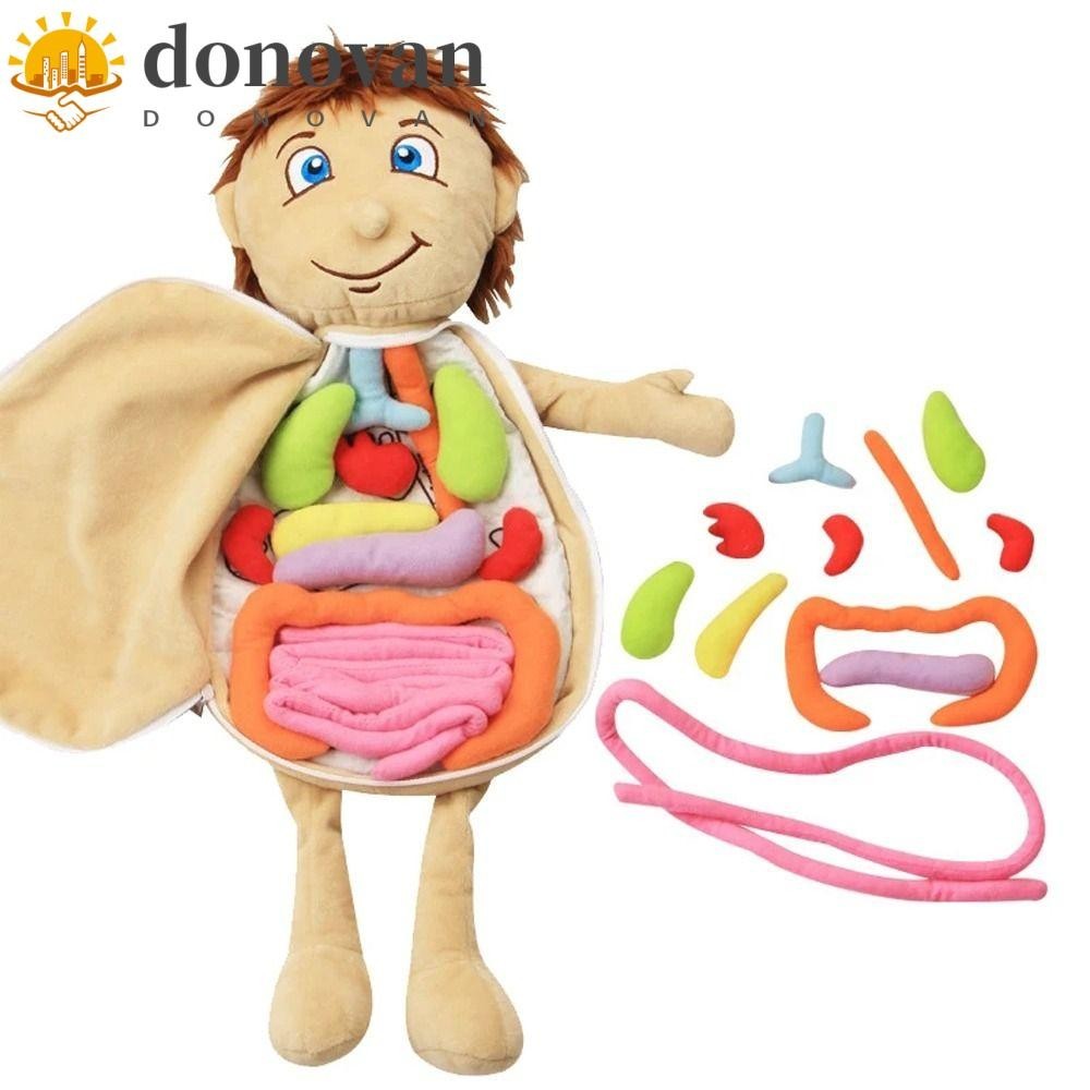 DONOVAN Anatomy Plush Toy, 3D Puzzle DIY Assembled Plush Body Organs ...