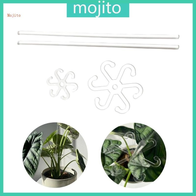 Mojito Clear Acrylic Plant Supports Stake for Flower Plant Growth ...