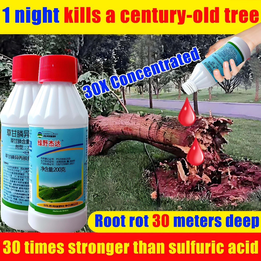 1 drop kills a century-old tree most root rot 10 meters deep poison ...