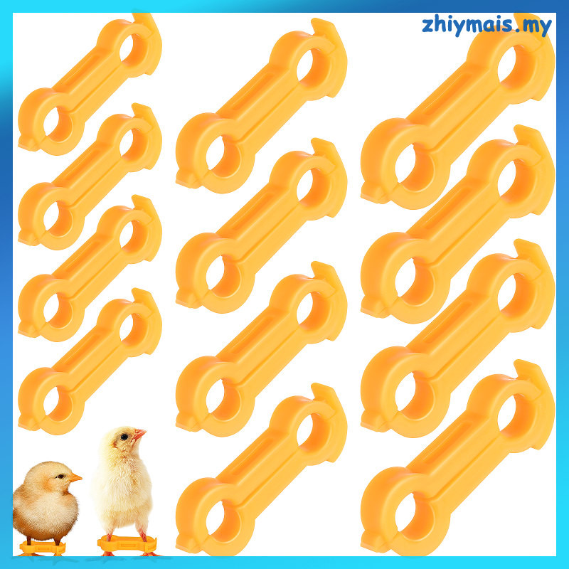 【READY STOCK】12pcs Chick Leg Stabilizer Baby Birds Splay Leg Correction ...