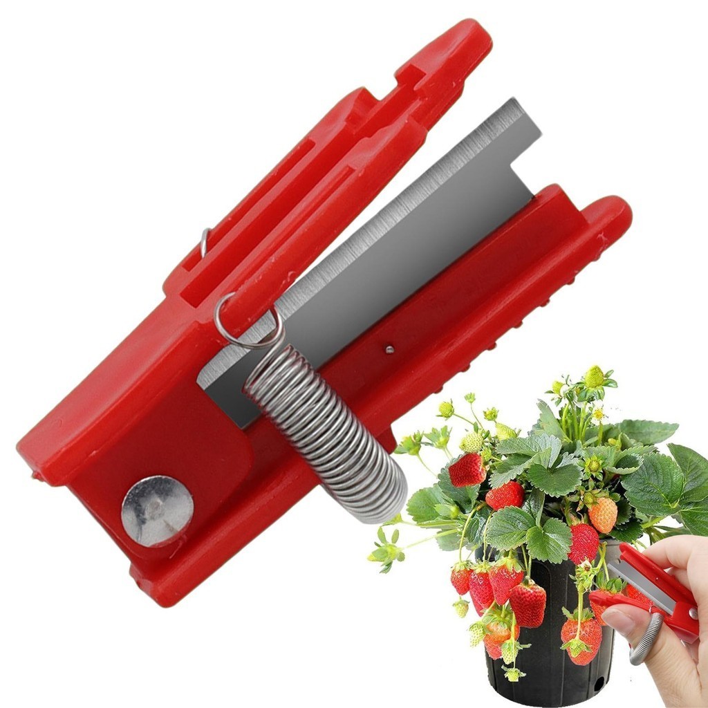 Fruit and Vegetable Picking Thumb Cutter Vegetable Finger Harvesting ...
