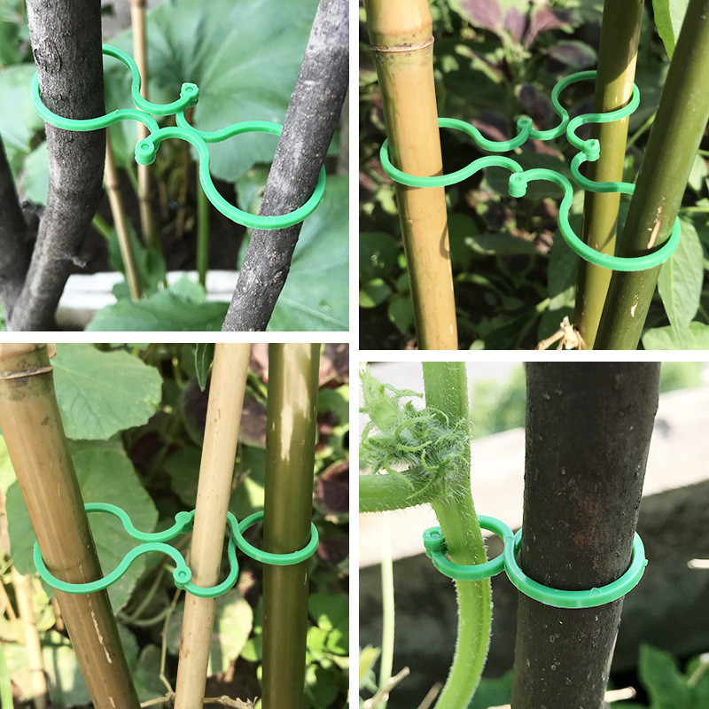 Planting Vine Fixed Clip Climbing Vine Plant Stem Support Garden Tool 8 ...