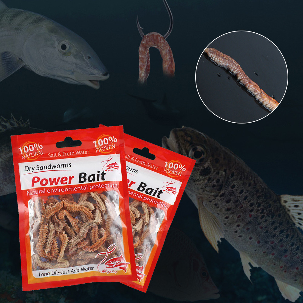AIGONI™ Dry Sandworms Fishing Lures Lifelike Dry Lugworm Sandworms ...