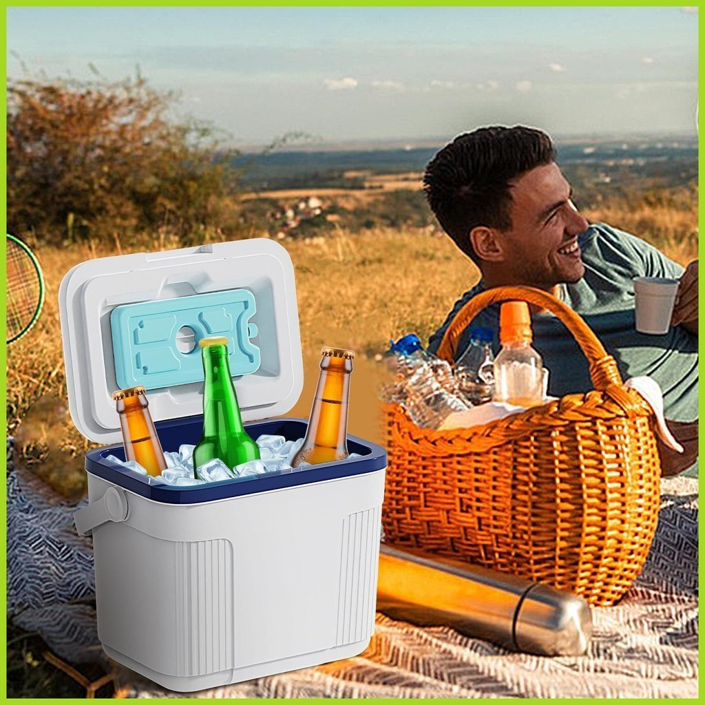 Cooler Box 10L Camping Refrigerator Ice Chest Freezer Box Hard Picnic ...