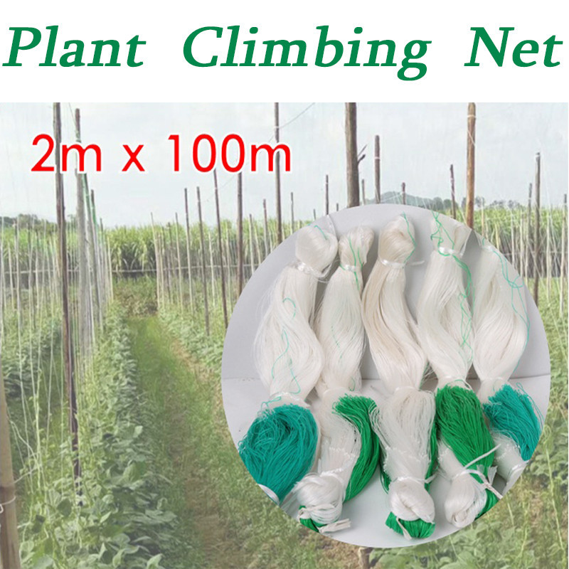 2M X 100M Cucumber Mesh Net Trellis Climbing Plants Support Garden Net Mesh Netting Planting ...