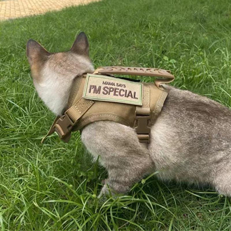 New Style Tactical Cat Vest Chest Strap Traction Rope Safety Cat ...