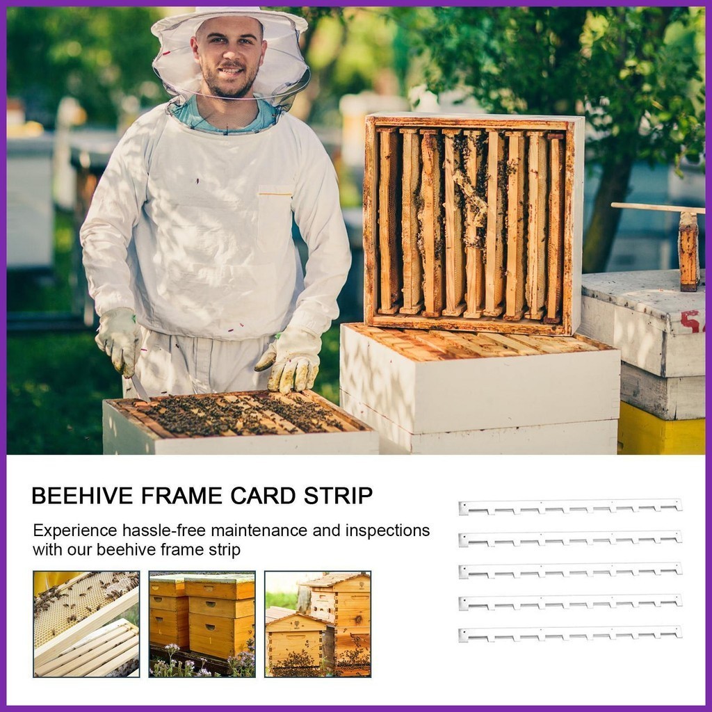 Beehive Frame Strip Beekeeping Tool Equipment 5-Piece Bee Hive Tools ...