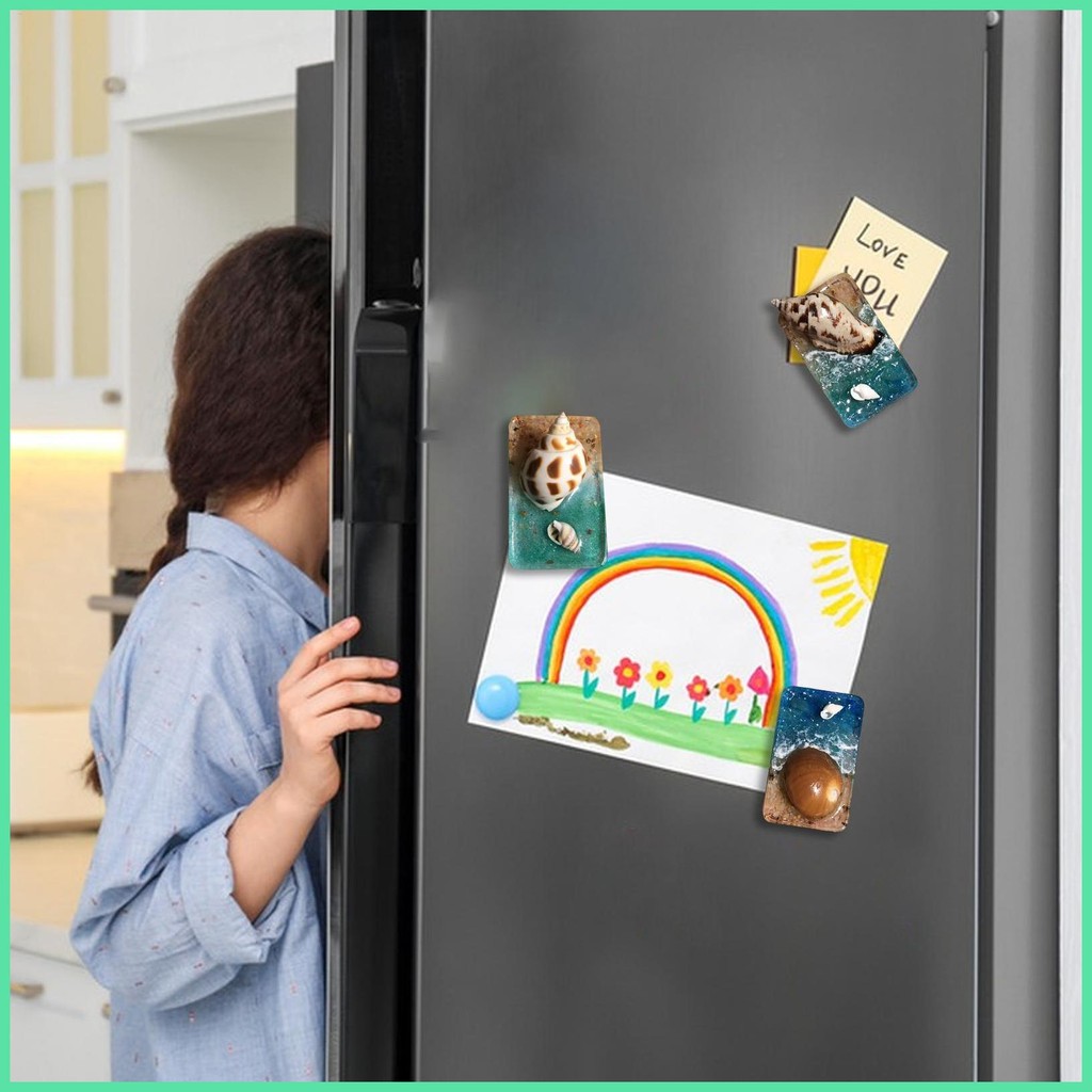 Shell Refrigerator Magnet Funny Ocean Refrigerator Magnets Cute Small ...