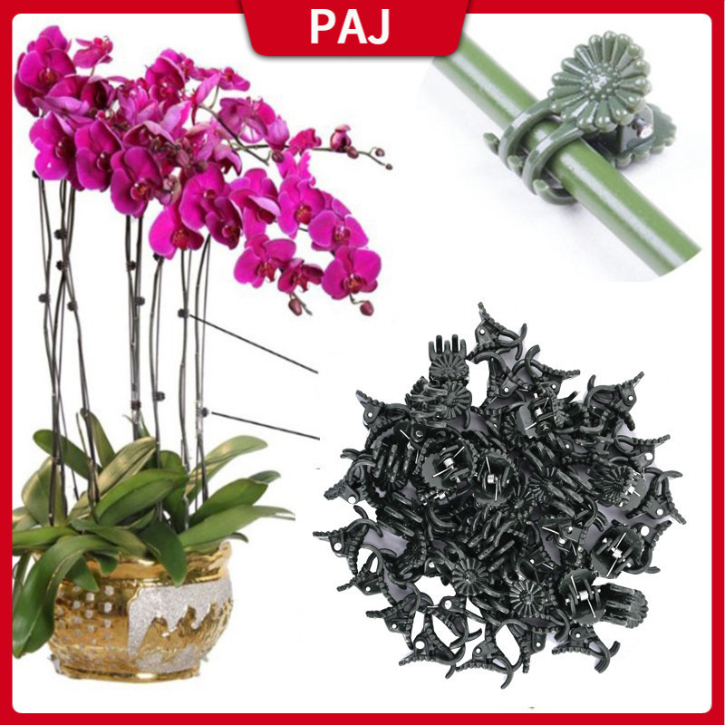 20/50PCS 5-Claw Plant Clips Orchid Flowers Support Clamp Climbing Vine ...