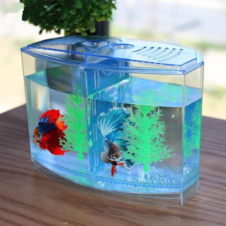 2 Compartment Betta Fish Tank | Guppy breeding cage (Size 18x9x12cm ...