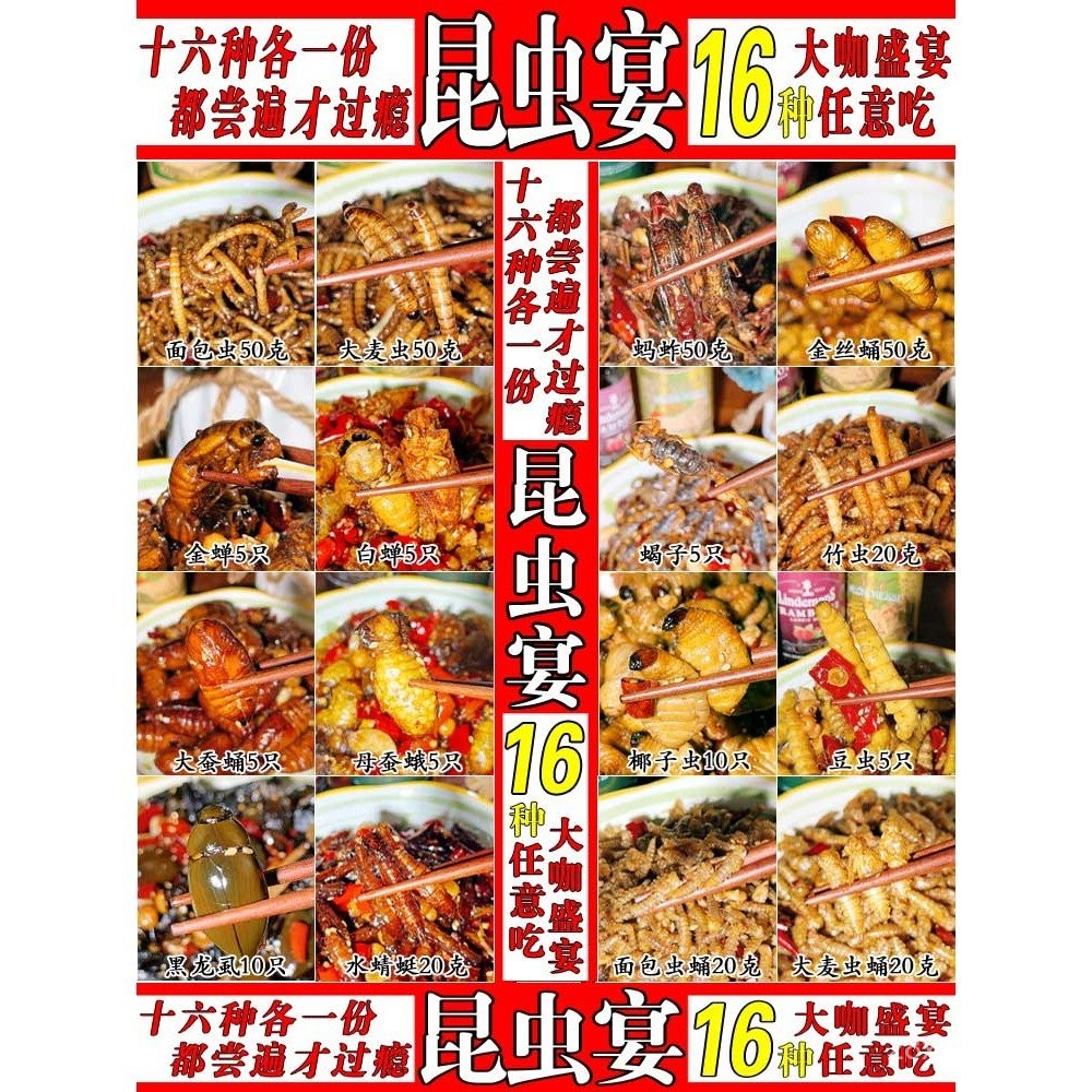 16 spesies goreng, cacing, jangkrik emas, cacing kacang, cacing kelapa ...