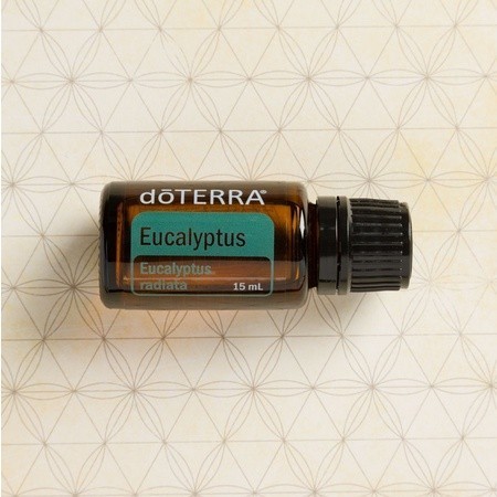 OFFER DOTERRAS doTerra EUCALYPTUS RADIATA 15ML Essential Oil (100% ...