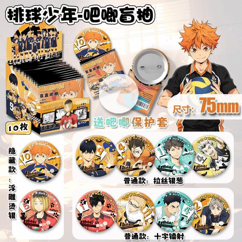 Haikyuu!! Holographic Badge Blind Box – 75MM Anime Pin Collection ...