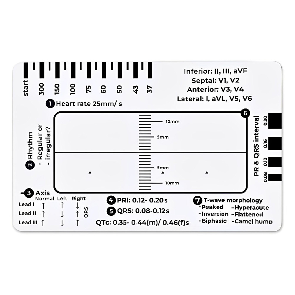 1/2Pcs ECG 7 Step Ruler ECG Ruler ECG Reference Guide for ECG/EKG Interpretation [myhomever.my ...