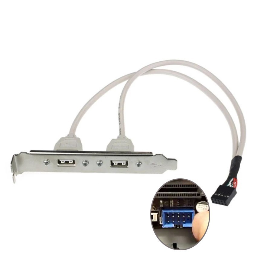 Motherboard USB Expansion Cable 2 Port USB Cable Adapter Rear Panel ...