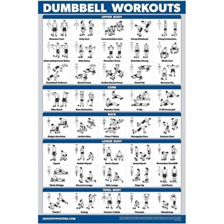 Dumbbell Workout Exercise Poster Free Weight Body Building Guide Home ...