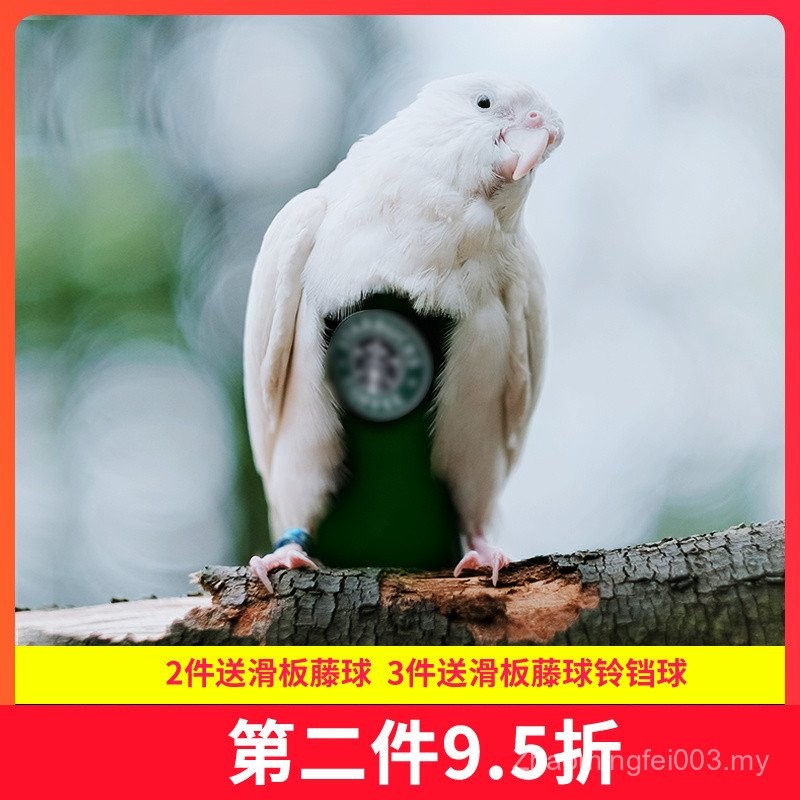 Sg [10,000 People Praise] Parrot Bird Diaper Clothes Shit Pocket Diaper ...