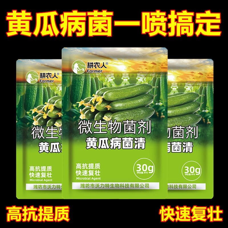 Cucumber Germ Clear Compound Microbiotic Agent Cucumber Gherkin Drip ...