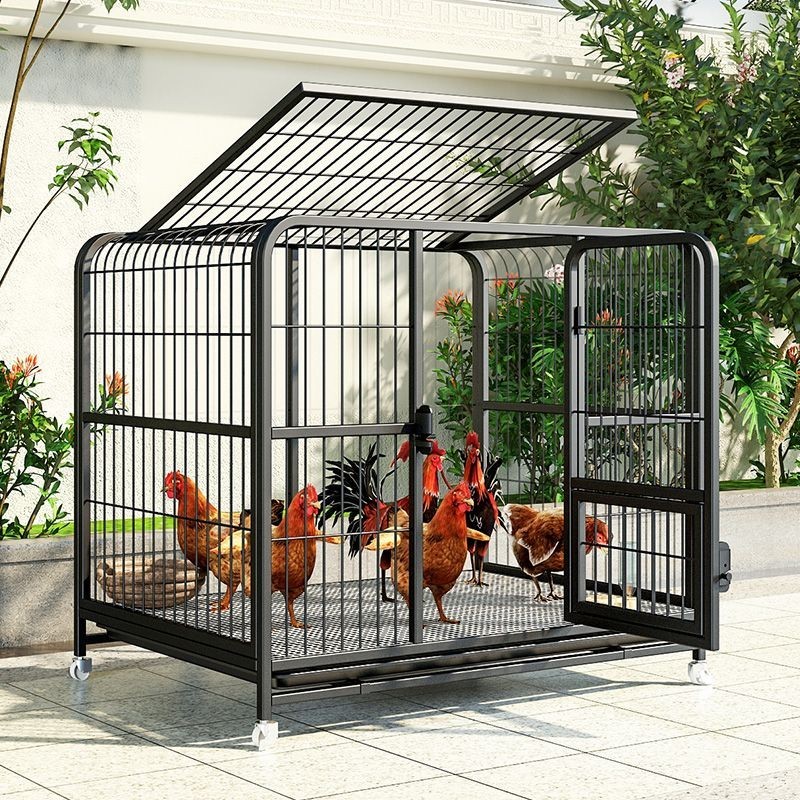 Chicken Cage Large Oversized Household Iron Cage Foldable Chicken House ...