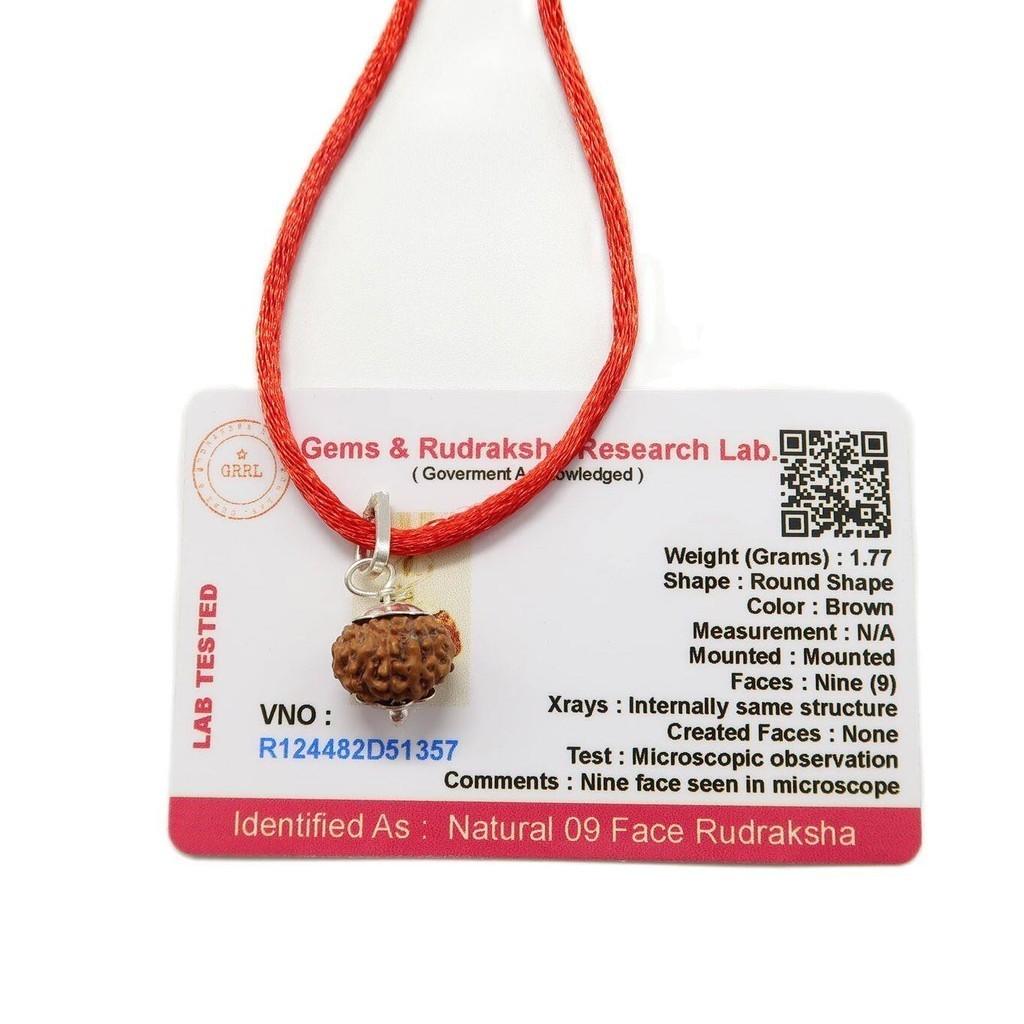 9 Mukhi (9 Face Rudraksha) Lab Certified Original Rudraksha Bead with ...