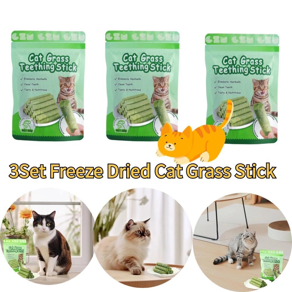 Freeze Dried Cat Grass Stick Irresistible Cat Mint Treated Plant Fibers ...