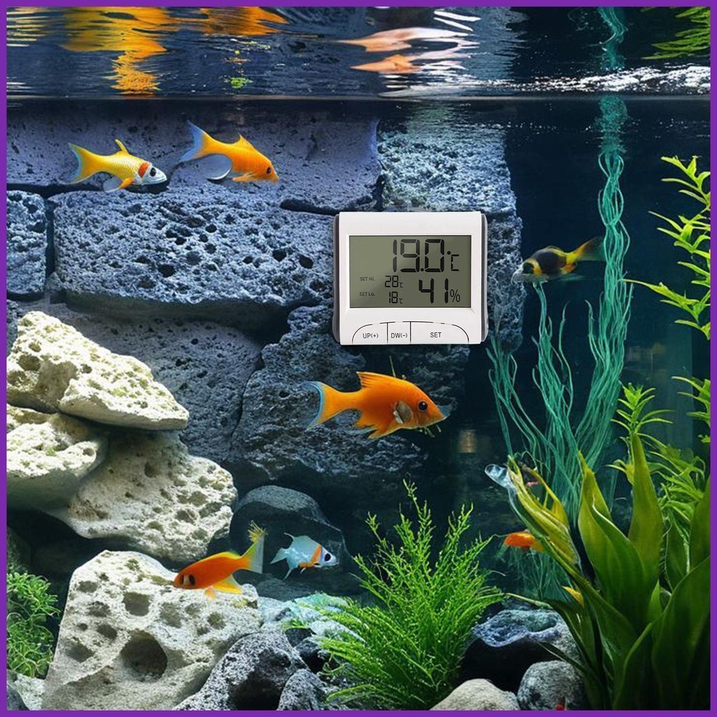 Fish Tank Temperature Gauge Temperature Gauge with Display Screen ...