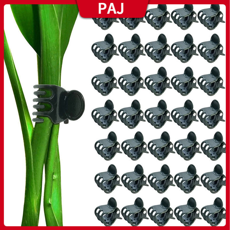 Plant Support Pile Single Stem Flower Support Stake Bonsai Flower Stand ...