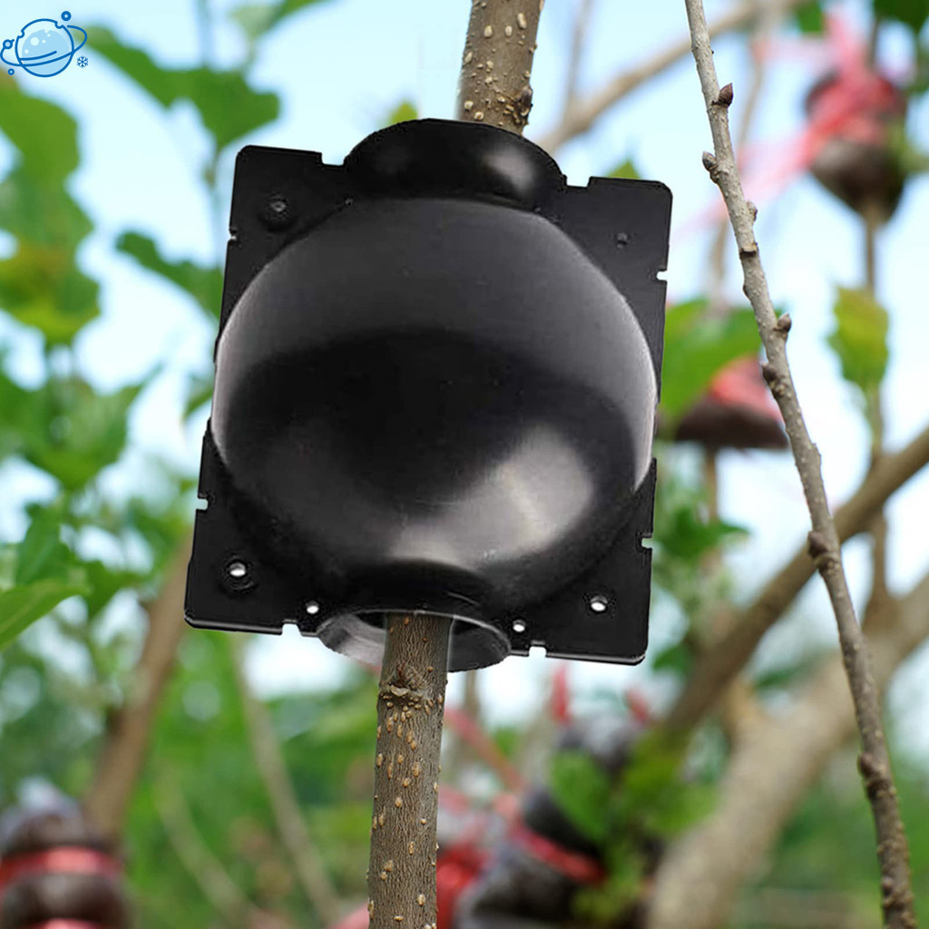 Plant high-pressure box cutting grafting rooting device box high ...