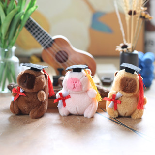 Comic Cute Capybara with Graduate Cap Plush Dolls Graduation Gift For ...