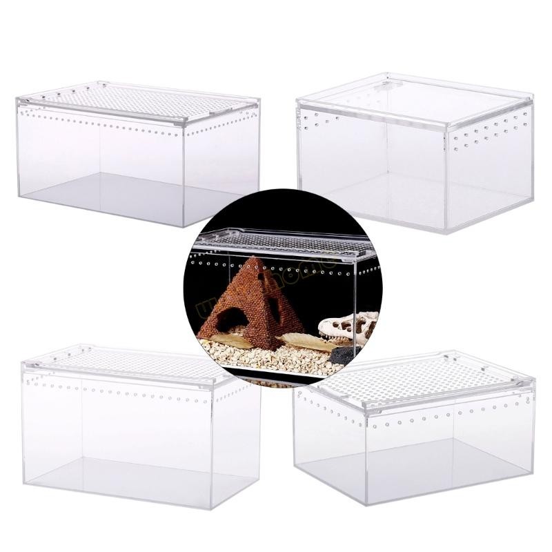ACG Reptile Box Feeding Small Pet Horned Spider Lizards Snail Clear ...