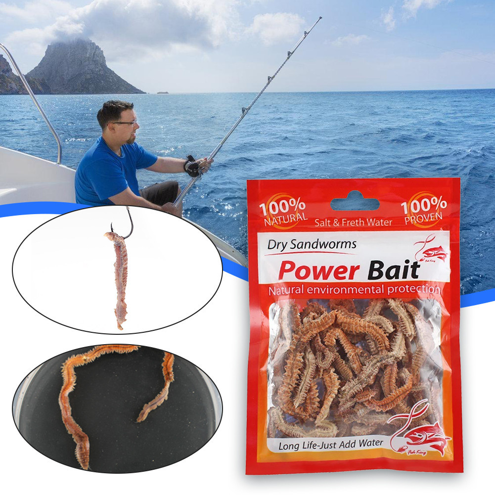 AIGONI™ Dry Sandworms Fishing Lures Lifelike Dry Lugworm Sandworms ...