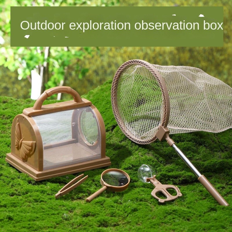 Insect Collector Outdoor Explore Children Elementary School Students ...