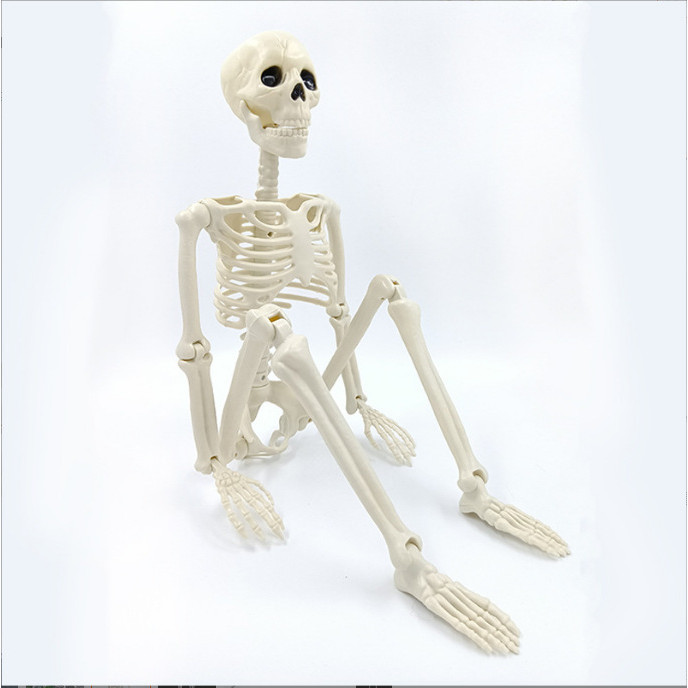 40CM/90CM Halloween Horror Skeleton Skull Decoration Scary Man Bone ...
