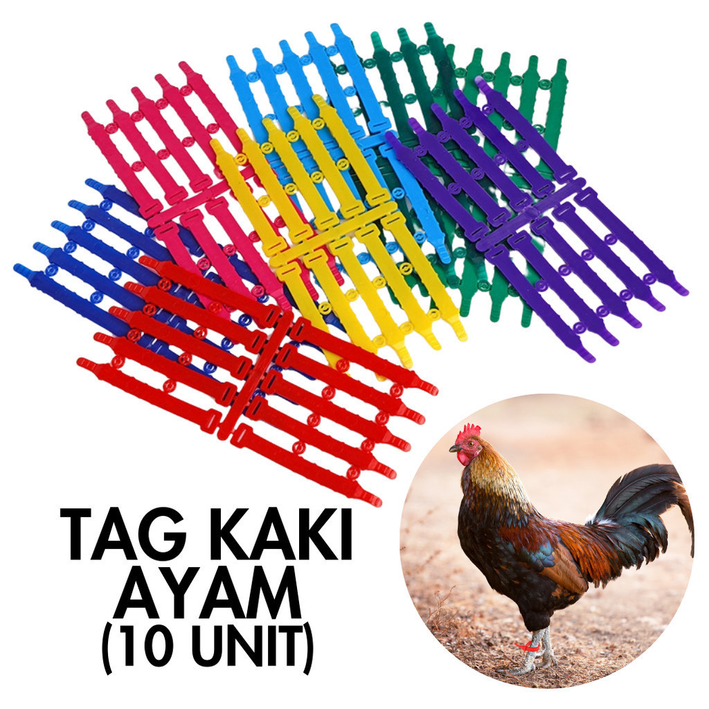 [10 UNIT] TAG KAKI UNGGAS | CINCIN KAKI AYAM BOLEH LARAS | ADJUSTABLE ...
