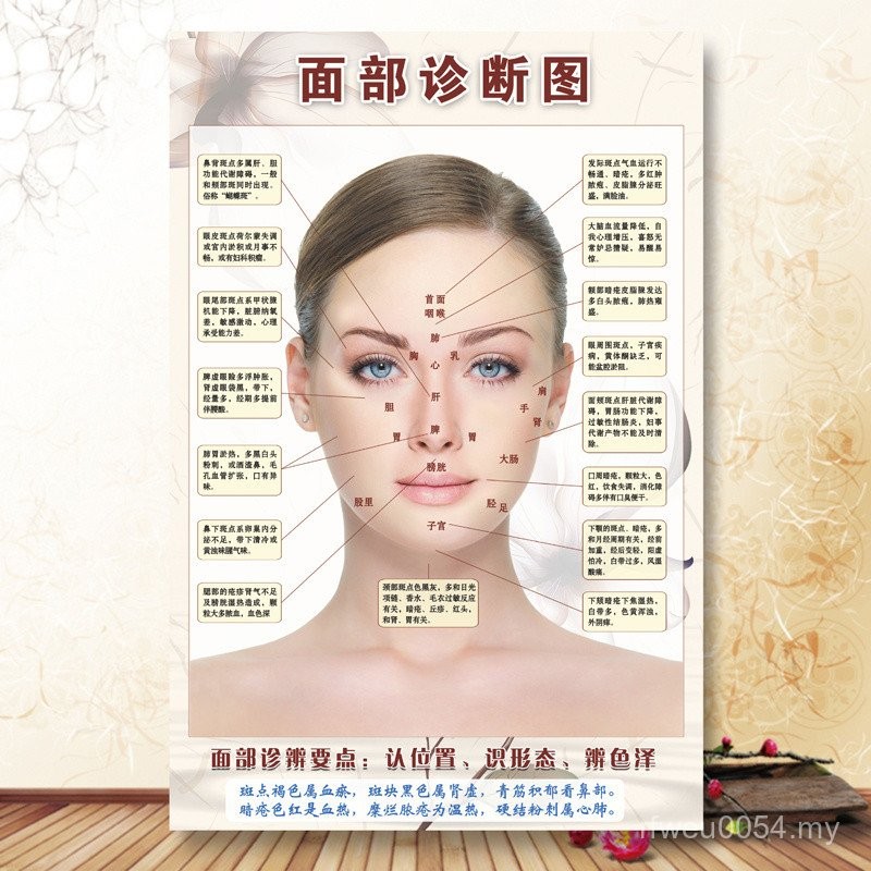 Human Facial Acupoint Map Meridian Beauty Salon Facial Massage ...