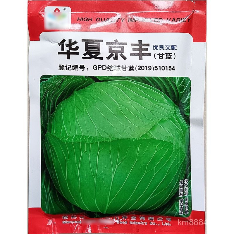 Huaxia Jingfeng 250g Kubis Biji Teratai Bulat Leper Gulung Benih Kubis ...
