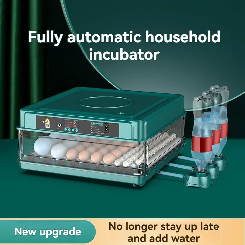 Eggs Incubator With Drawer Type Mini Egg Incubator With Automatic Water ...